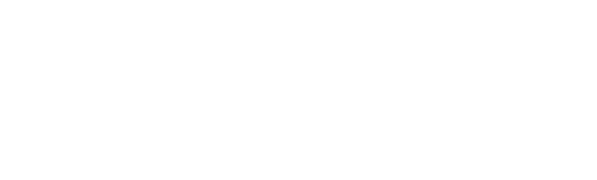 Digitalisierung, Software Entwicklung und Programmierung für KMU ...